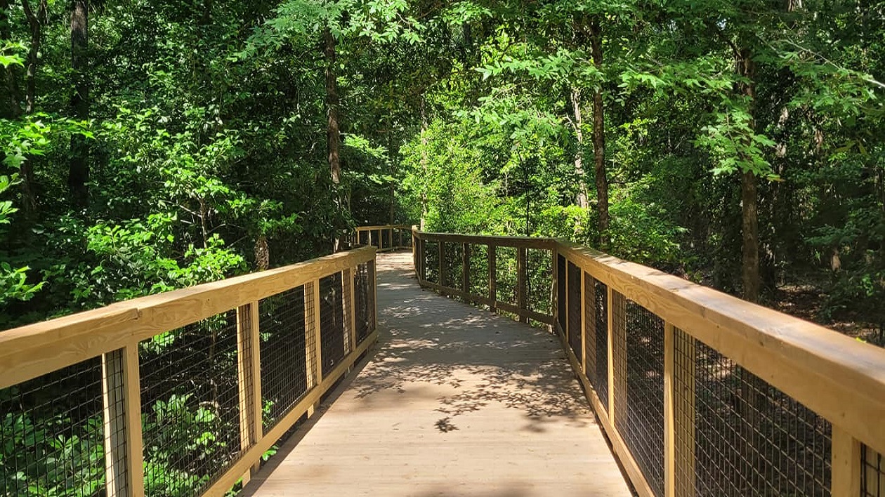 Congaree National Park Guide | Kayaking, Hiking & Old-Growth Forests